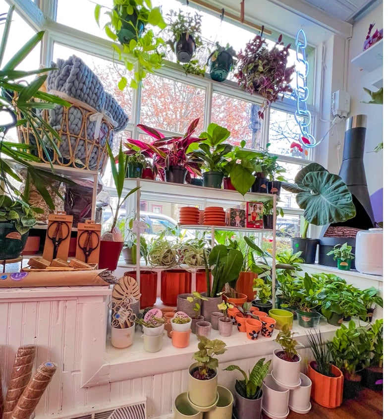 Home | WORKSHOP PGH